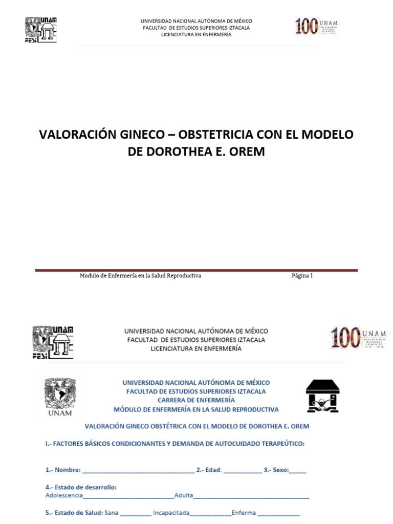 Instrumento de Valoraciòn OREM | PDF | El embarazo | Educación más alta