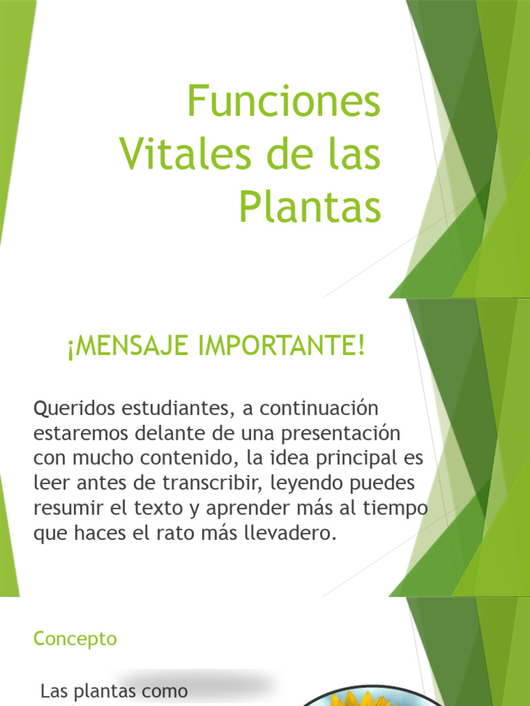 Funciones Vitales de Las Plantas | PDF
