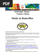 Classroom Butterfly Camouflage Activity | PDF | Camouflage | Mimicry