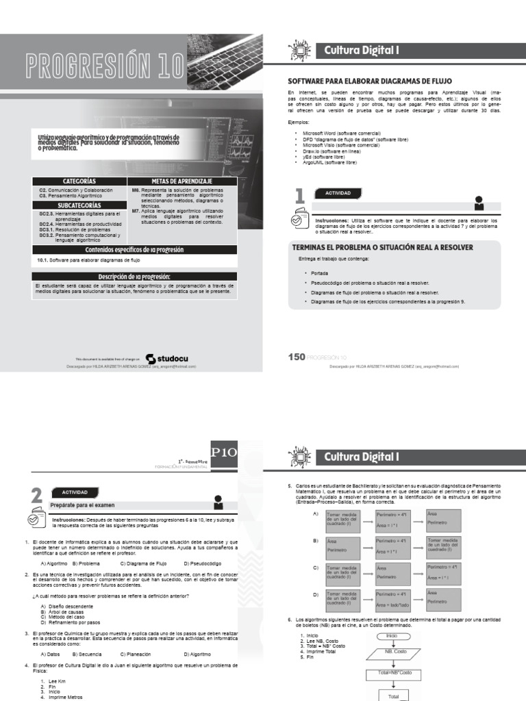 PROGRESIÓN 10 - Cultura Digital I | PDF | Algoritmos | Software