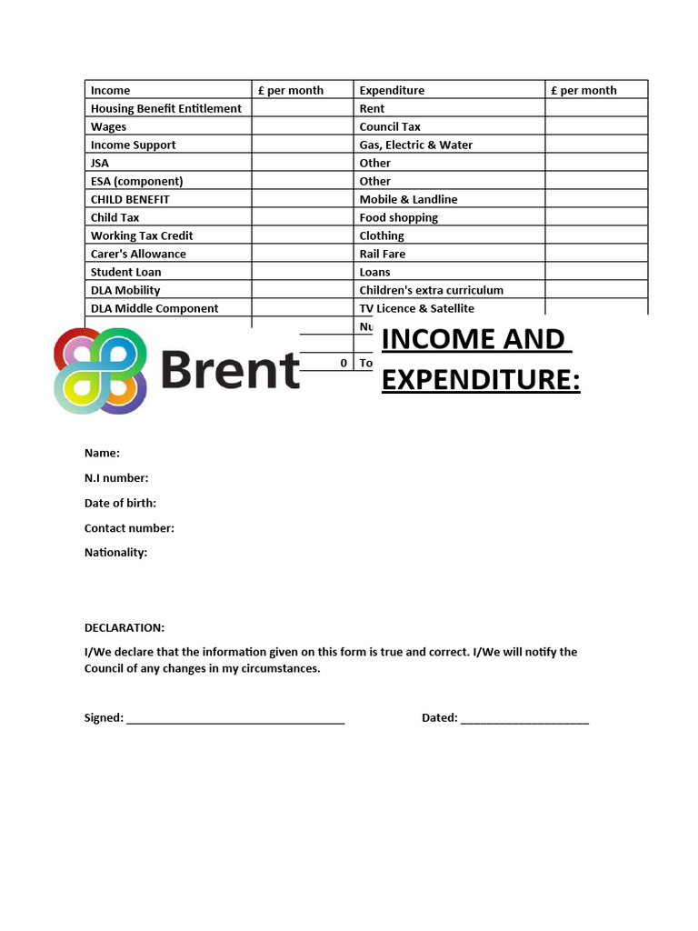 Income and Expenditure Form | PDF