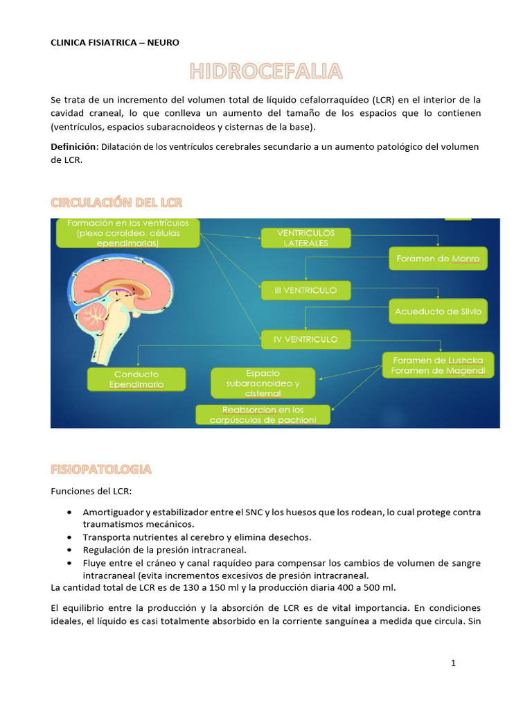 Hidrocefalia - Neuro | PDF | Fluido cerebroespinal | Neurología