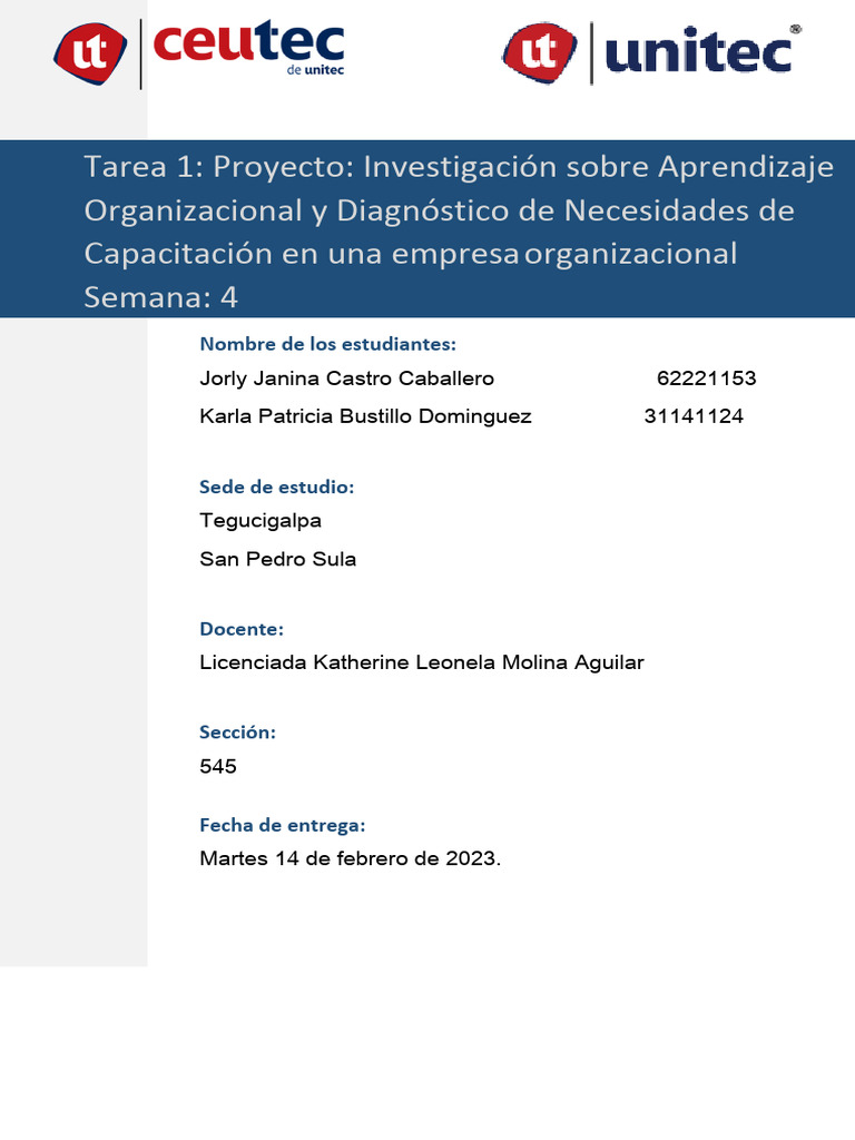 Annotated-S4 Proyecto Investigación Sobre Aprendizaje Organizacional y Diagnóstico de ...