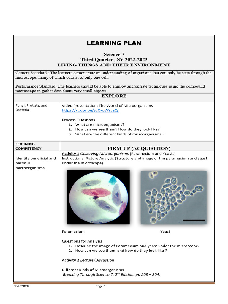 Learning Plan 2-3rd Quarter | PDF | Rubric (Academic) | Microorganism