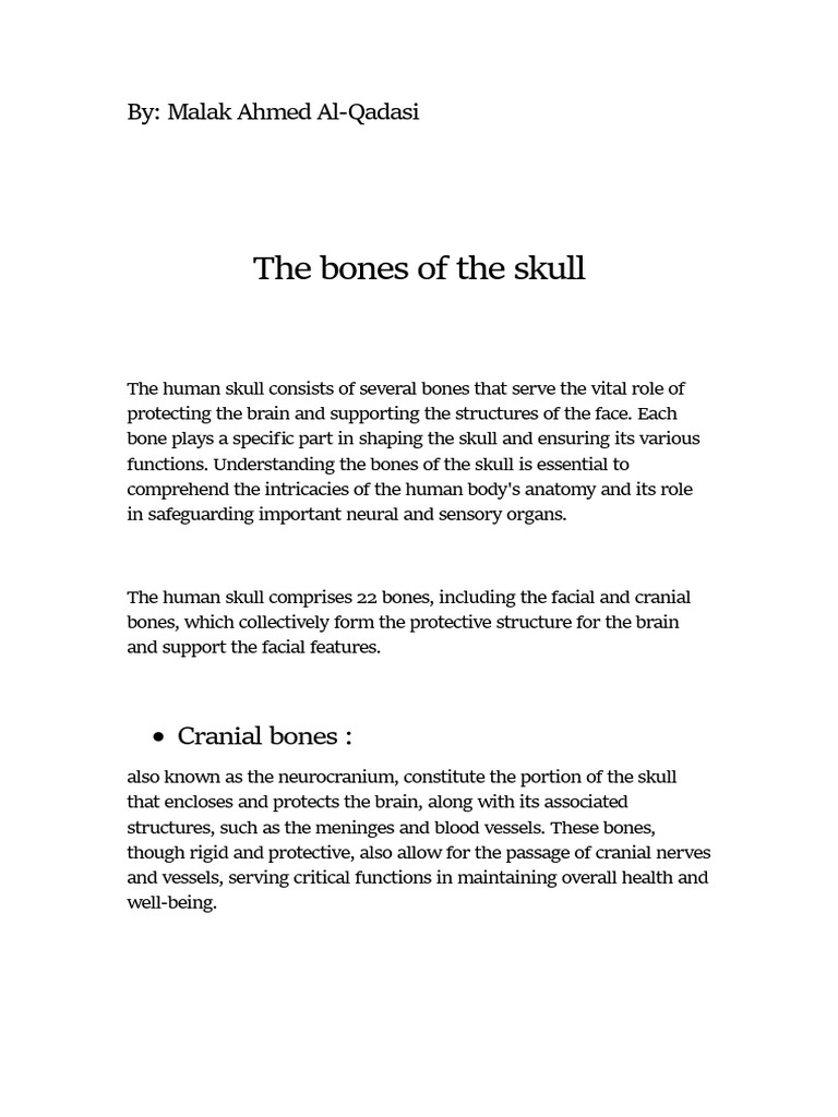 The Bones of The Skull | PDF | Skull | Human Nose