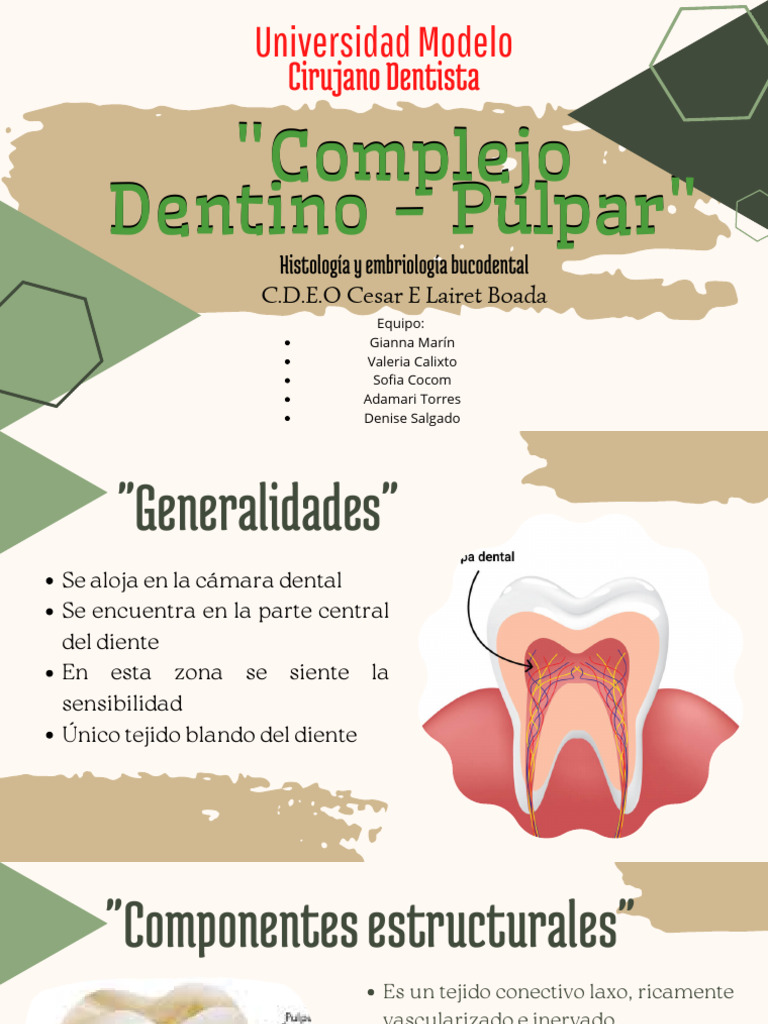 Complejo Dentino - Pulpar Presentación | PDF | Especialidades Medicas ...