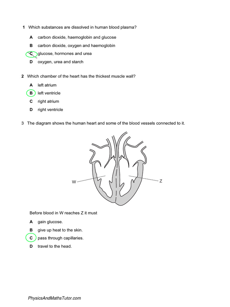 Human Blood and Heart Function Quiz | PDF