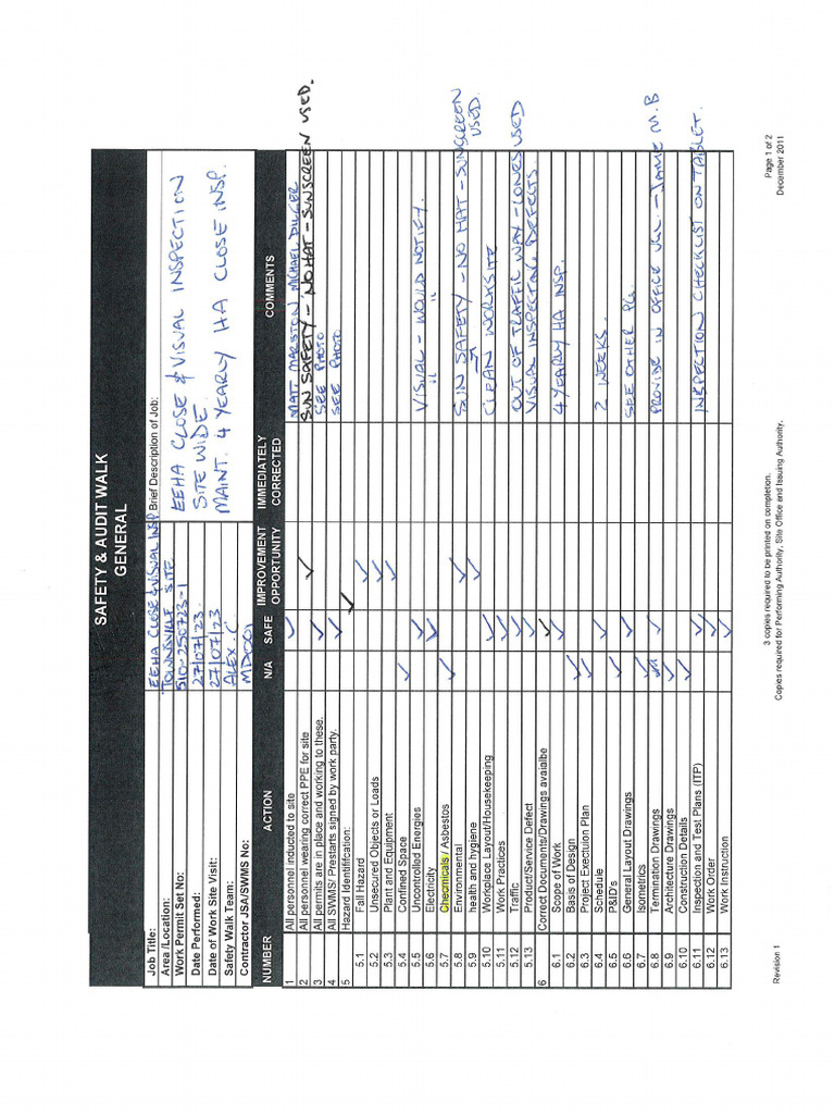 Safety & Audit Walk - General Example | PDF