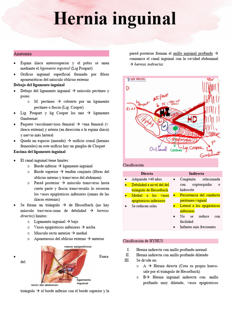 Hernia Inguinal | PDF | Abdomen | Sistema musculoesquelético