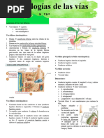 Revisión Coledocolitiasis Guías ASGE 2019 | PDF | Sistema digestivo ...
