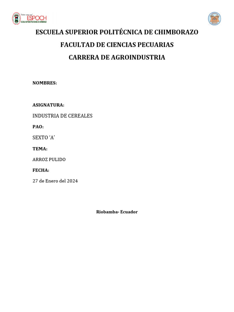 Subproductos del Arroz: Arrocillo y Más | PDF | Arroz | Cereales