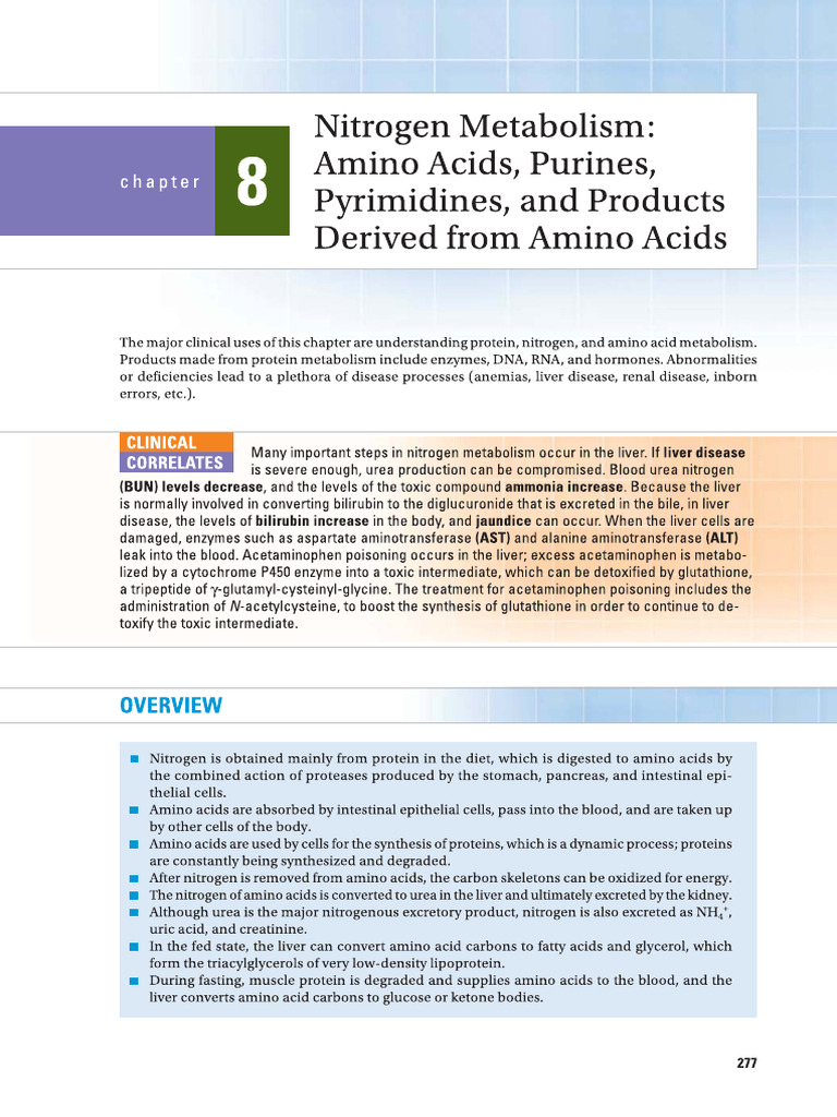 S1 Bioqui Renal | PDF | Proteolysis | Trypsin