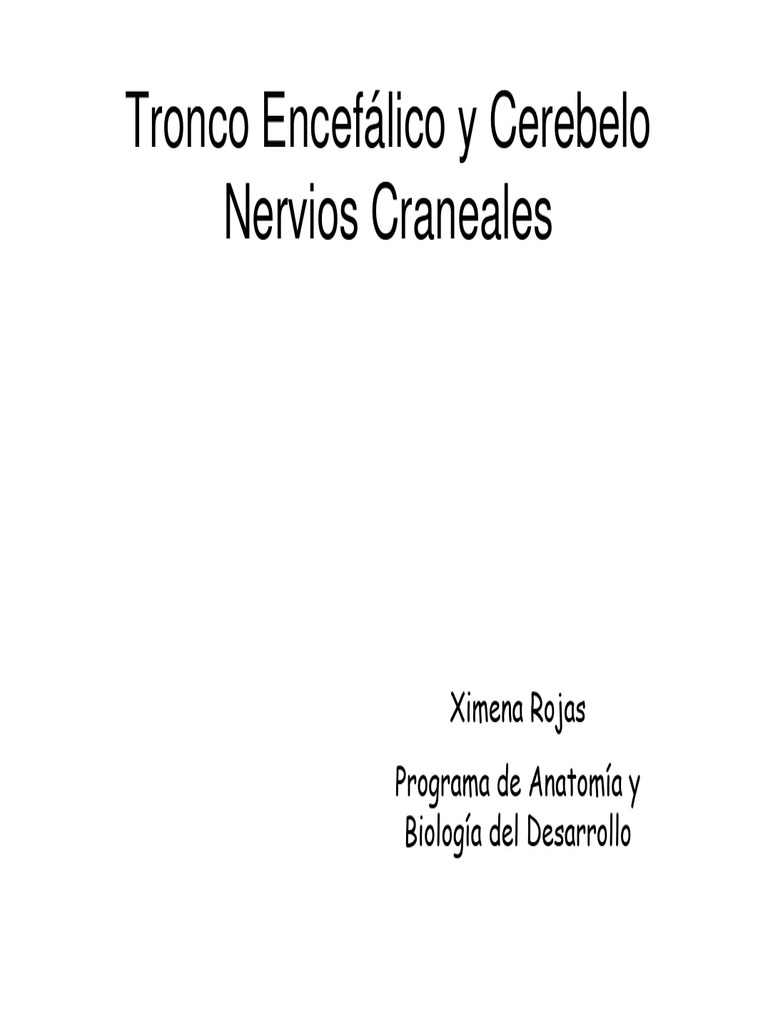 Tronco y Nervios Craneales | PDF | Cerebelo | Nervio vago