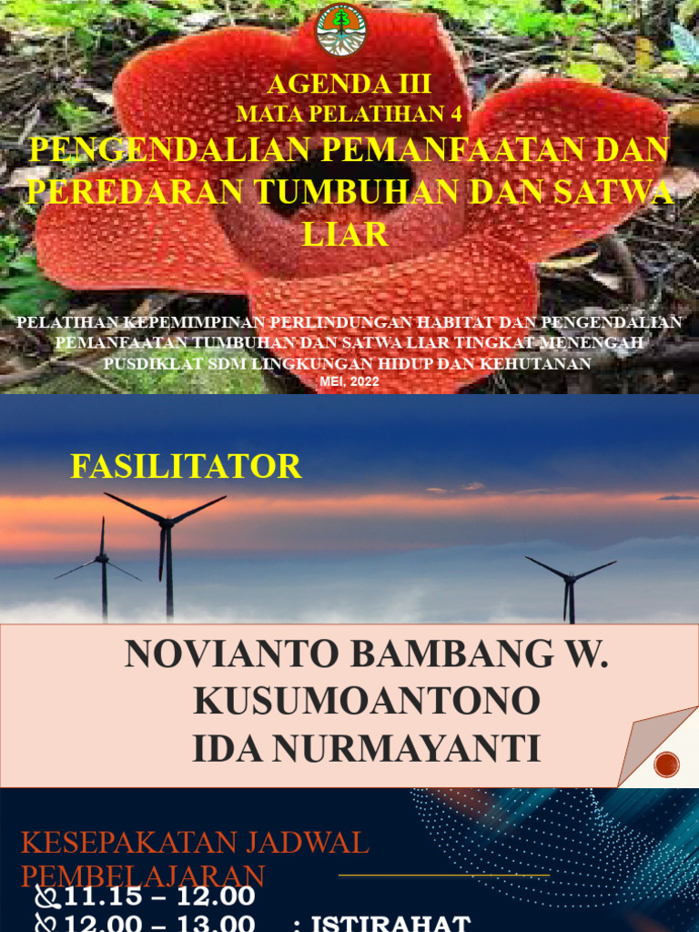 WCS - BT - OK-Siap Ngajar TSL | PDF
