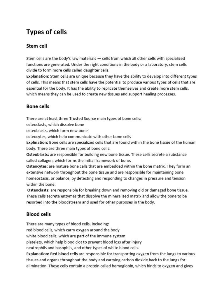 Types of Cells | PDF | Epithelium | Endoplasmic Reticulum