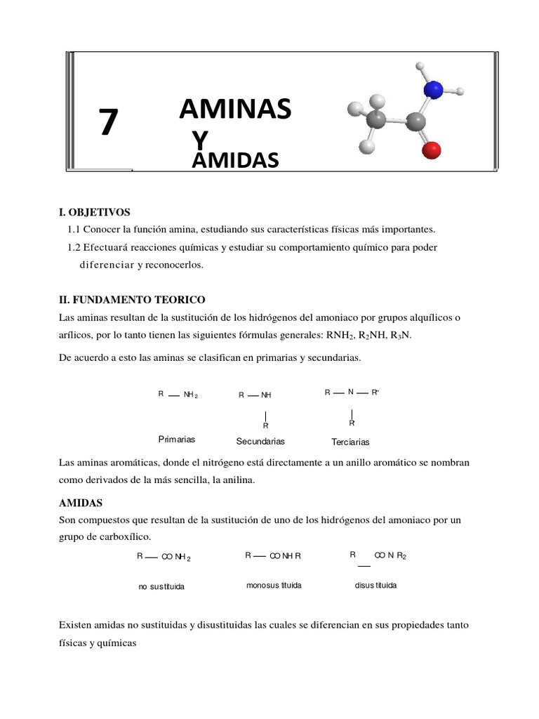 Guia de Practicas #7 Aminas y Amidas | PDF | Amina | Amoníaco