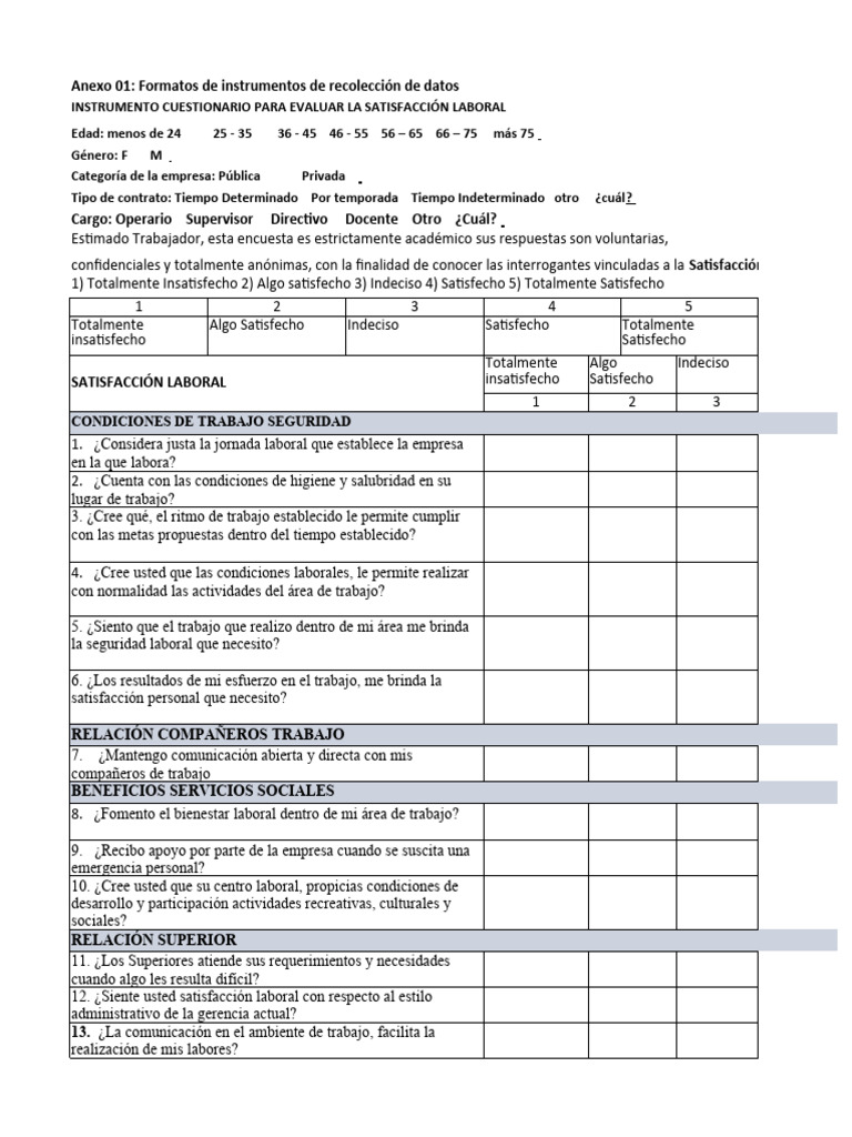 Cuestionarios de Satisfacción y Desempeño Laboral | PDF | Liderazgo