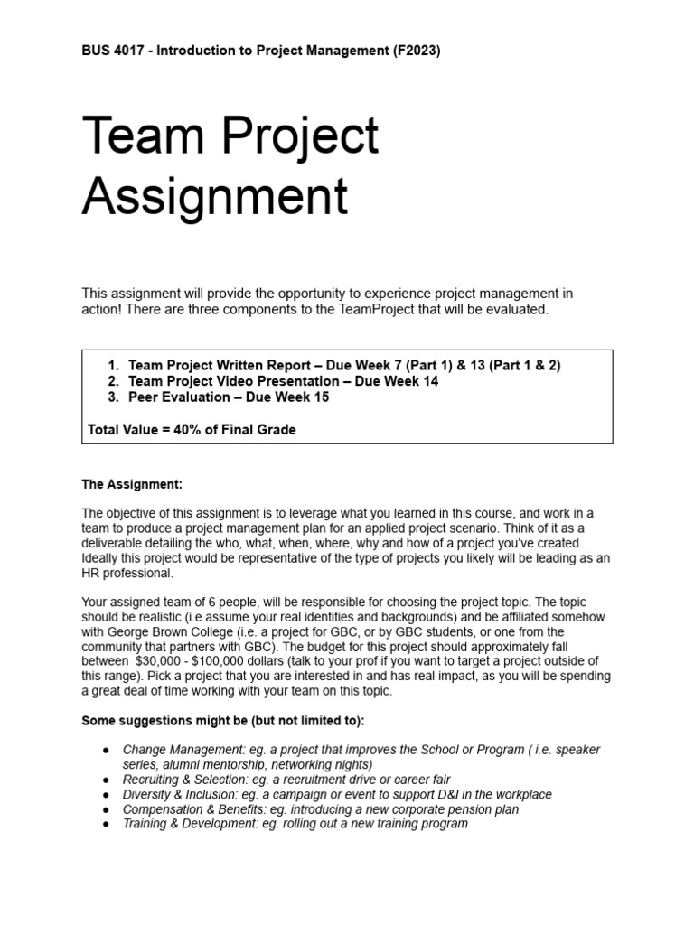 BUS 4017 Team Project Overview | PDF | Project Management | Human Communication