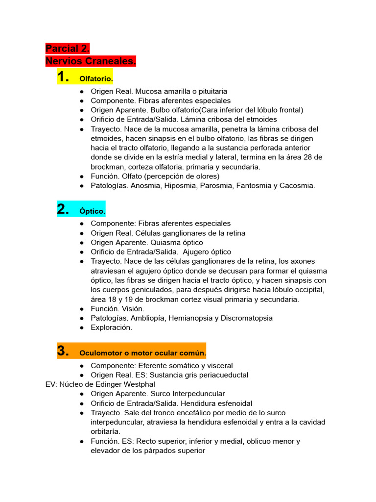 ACUSE | PDF | Nervio vago | Abdomen