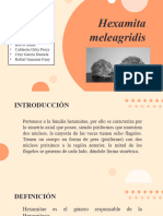 Kitty Magic | PDF | Anesthesia | Surgery