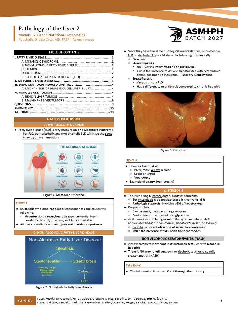 (07.17b) Pathology of The Liver 2 (TG03-CG08) (V2) - Junfel Sotelo ...