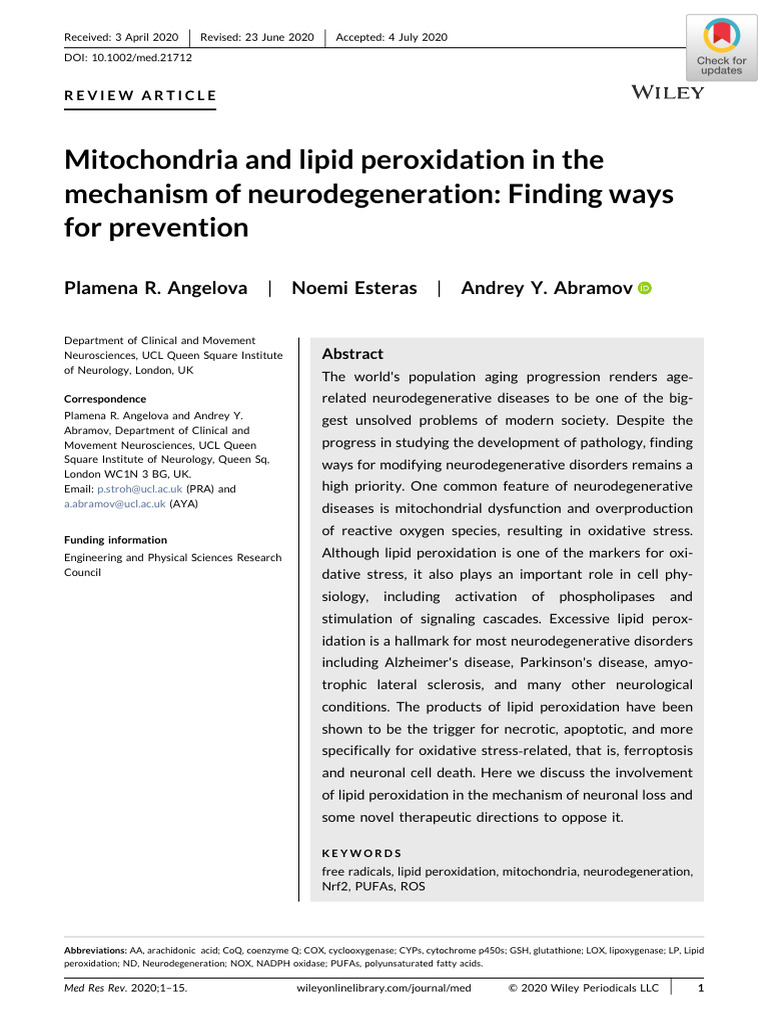 Mitochondria and Lipid Peroxidation in The Mechanism of ...