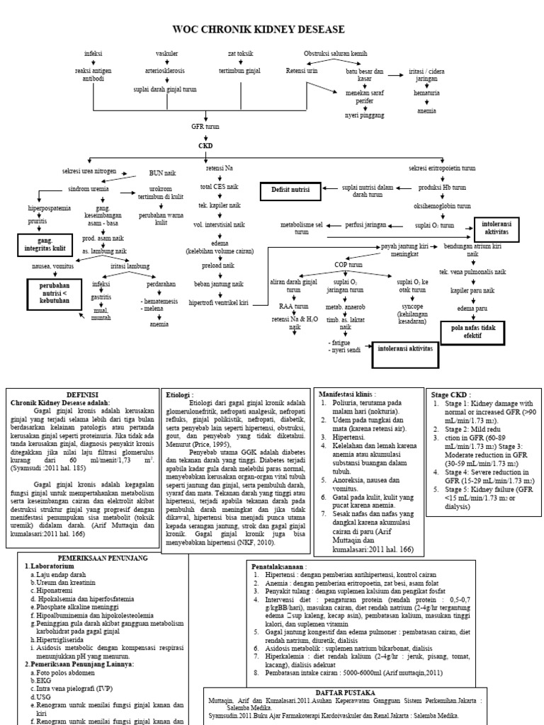 Woc CKD Fiksss | PDF