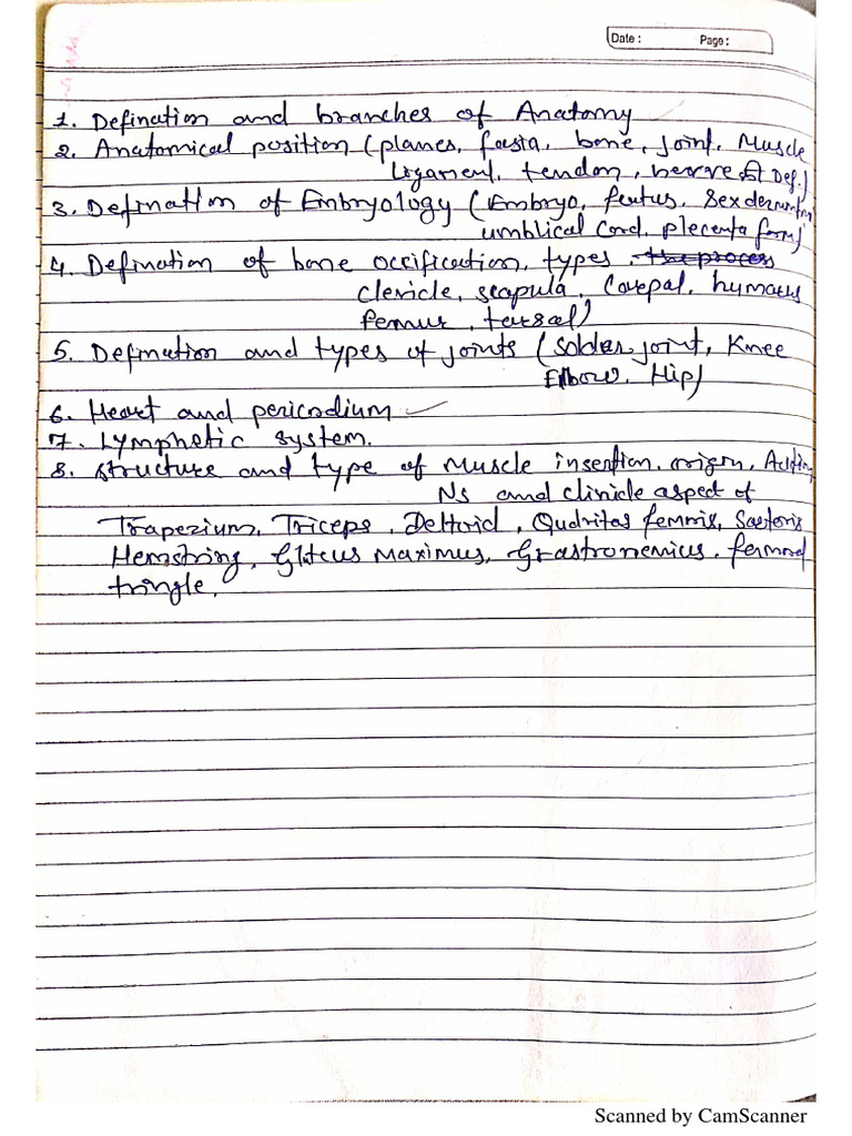 Anatomy Hand Written Note | PDF