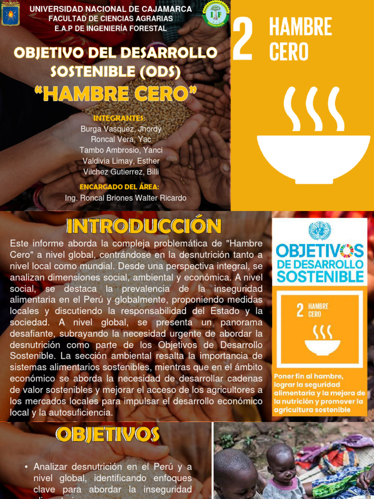 Ods - Hambre Cero t4 | Descargar gratis PDF | Agricultura | Alimentos