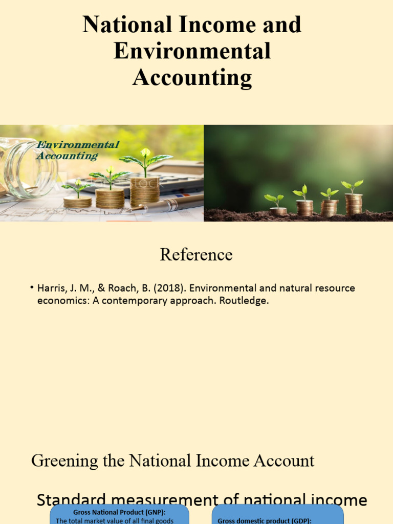 National Income and Environmental Accounting | PDF | Gross Domestic ...
