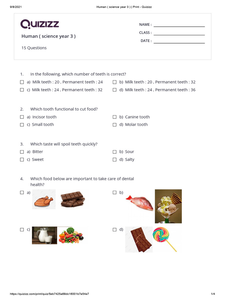 Year 3 Science Quiz on Human Teeth | PDF | Tooth | Tooth Enamel