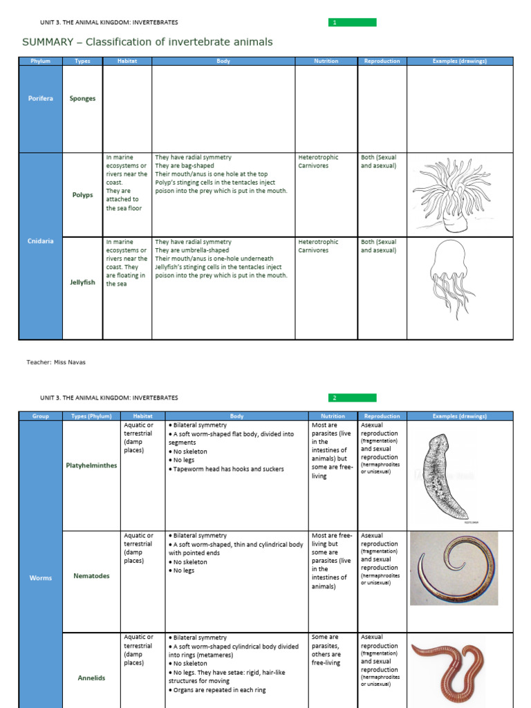 Unit 3 - Invertebrates Summary - 1stESO - Filled - With Information ...