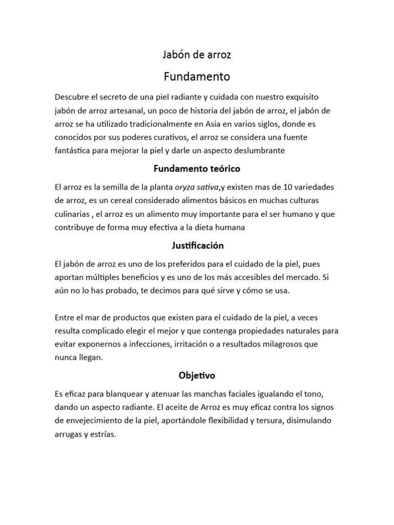 Proyecto Jabón de Arroz | PDF