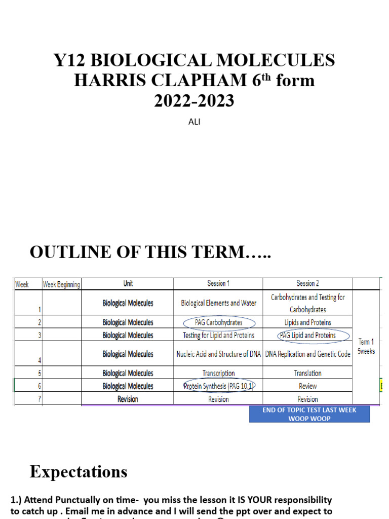 Biological Molecules Ocr Edit Pdf Protein Structure Carbohydrates