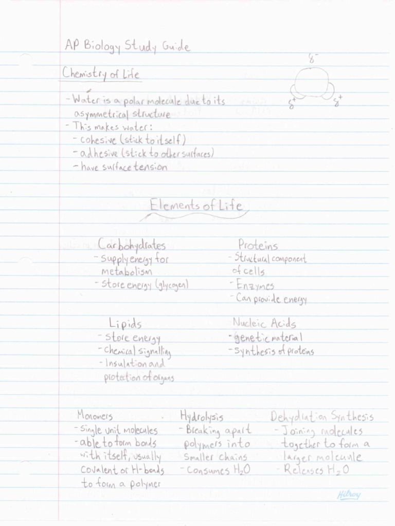 Biology Study Guide | PDF