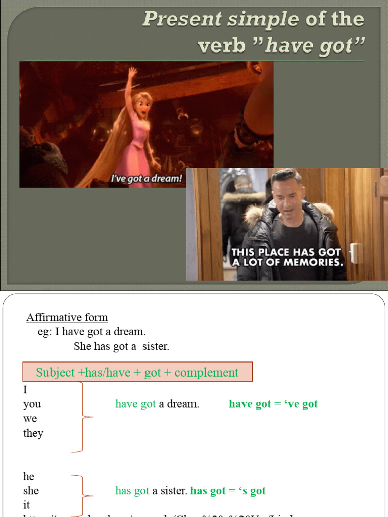 Present Simple of The Verb Have Got | PDF