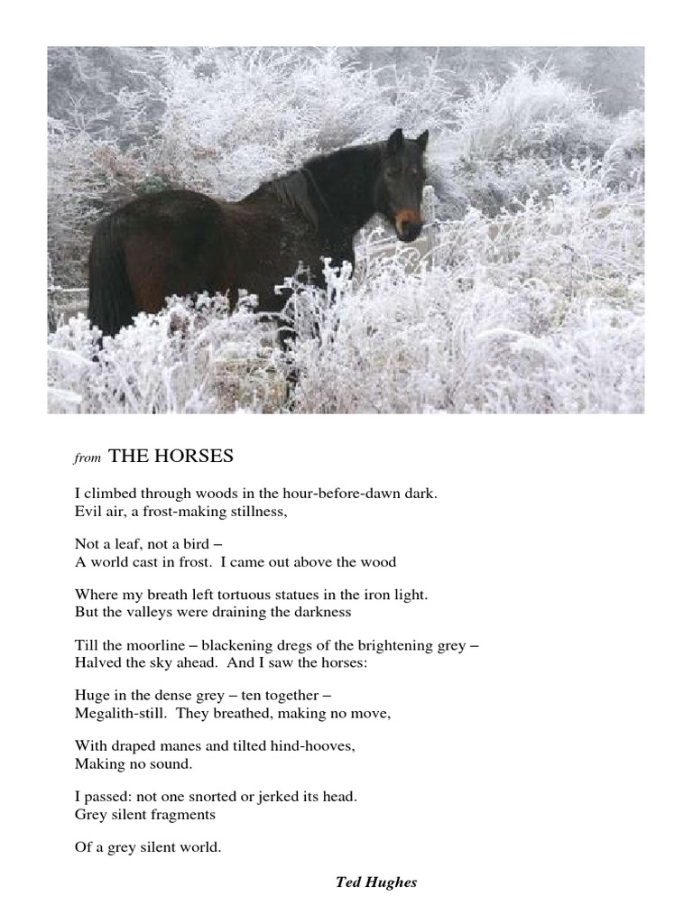 The Horses Ted Hughes | PDF