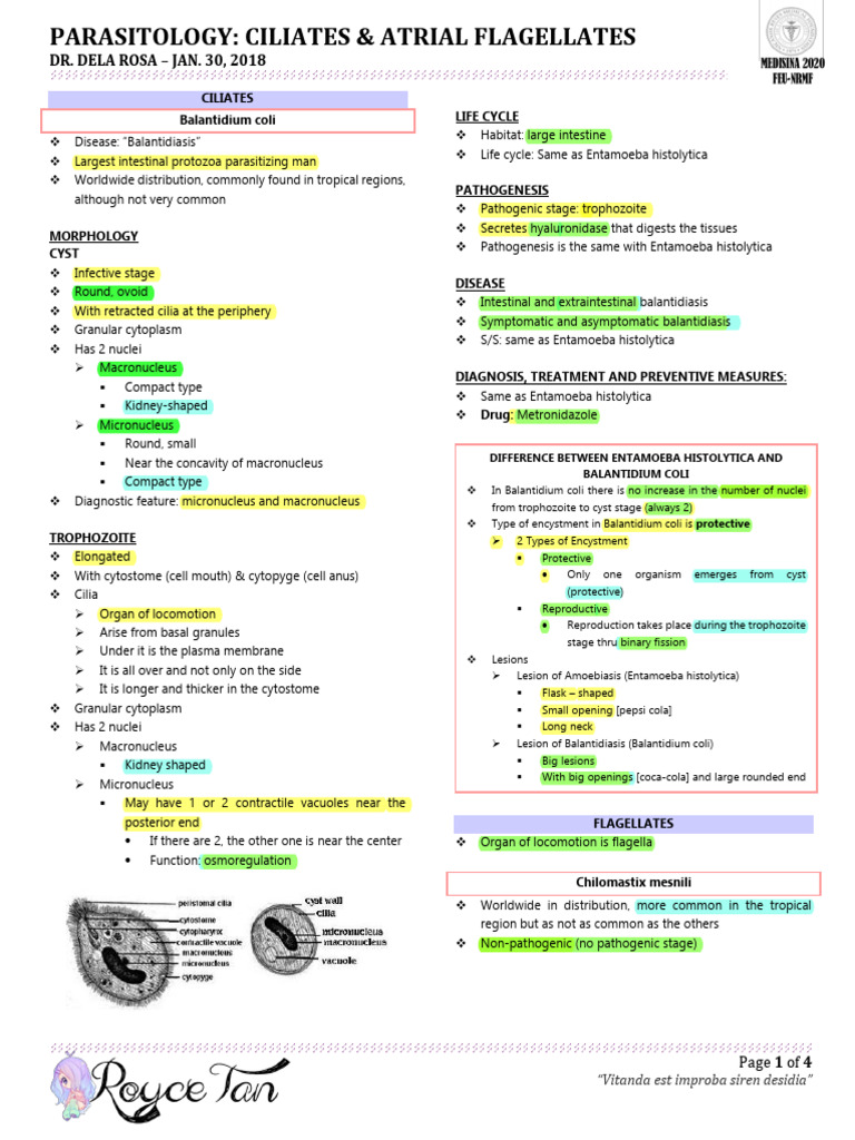 Parasitology Ciliates Flagellates | PDF | Clinical Medicine | Medical ...