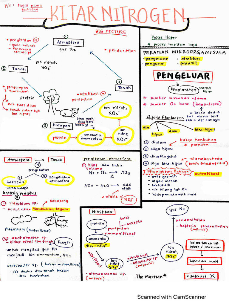 Kitar Nitrogen | PDF