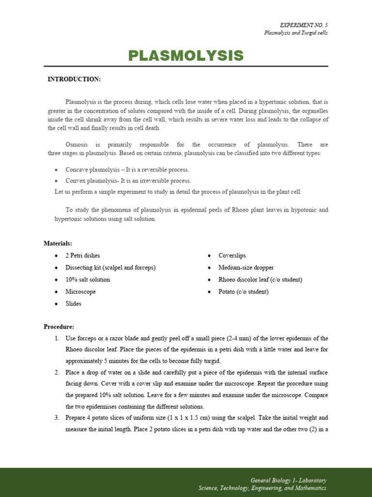 Experiment 5 - Plasmolysis | PDF | Osmosis | Cell Biology
