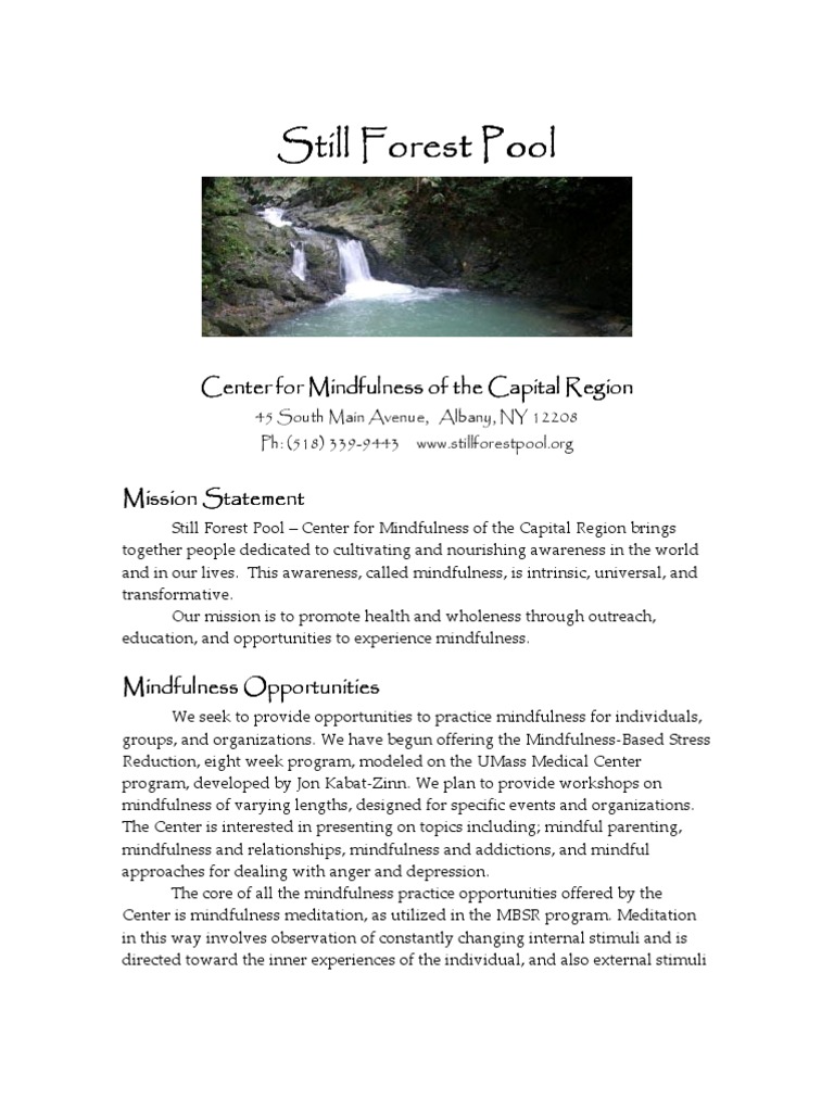 Still Forest Pool | PDF | Mindfulness | Meditation