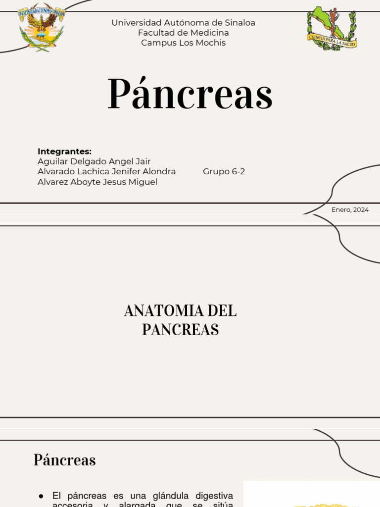 Pancreas - Endocrinologia | PDF | Páncreas | Insulina