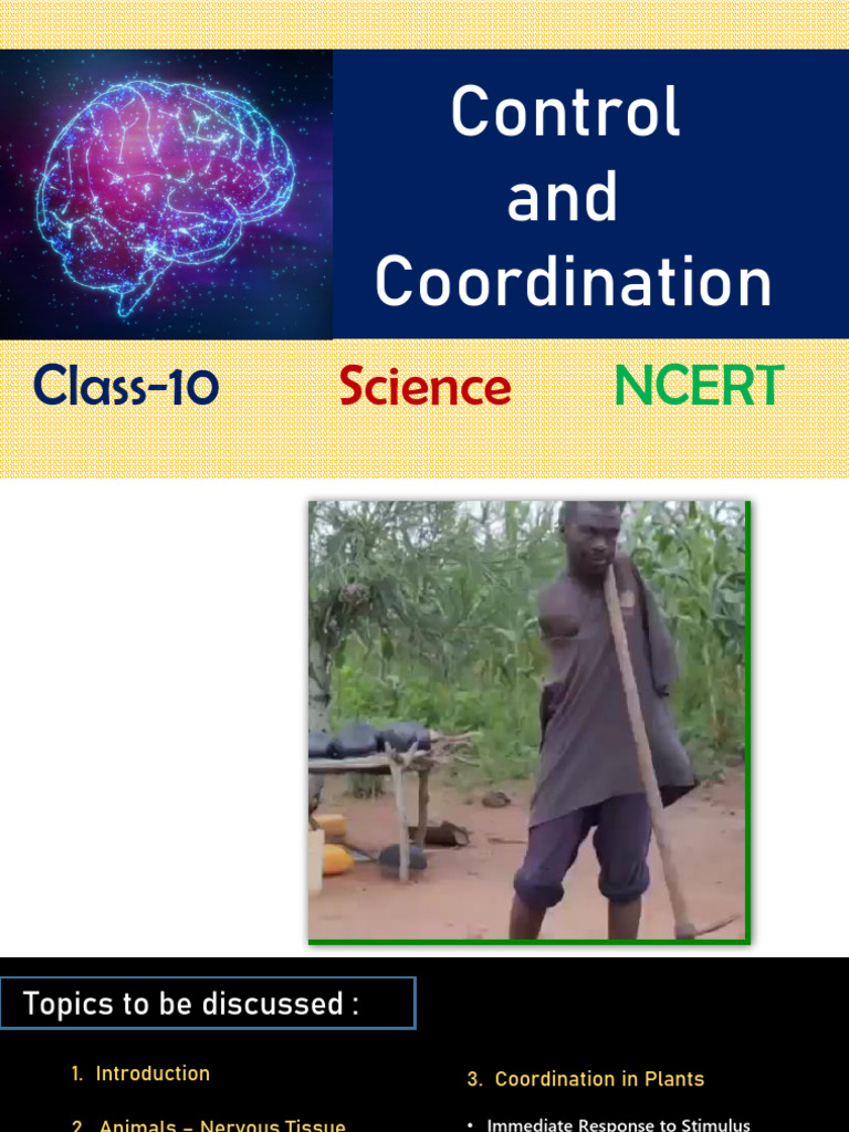 Control and Coordination Class 10 | PDF