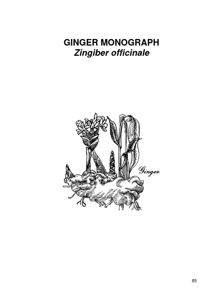 Ginger Monograph | PDF | Ginger | Spice