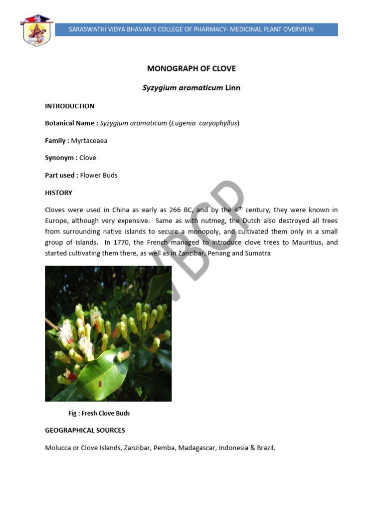 Monograph Clove | PDF | Clove | Plants