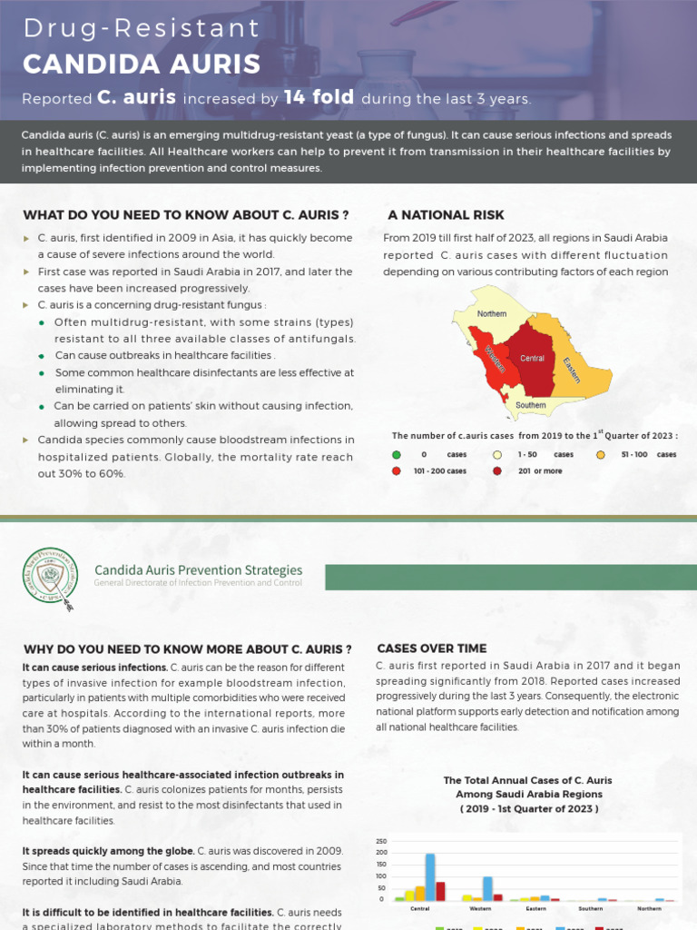 Candida Auris Fact Sheets | PDF | Medical Specialties | Medical Statistics