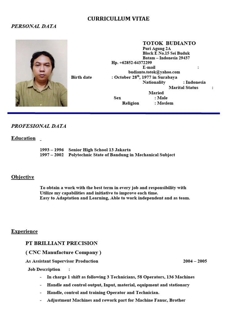 CV Totok | PDF | Engineering | Computing