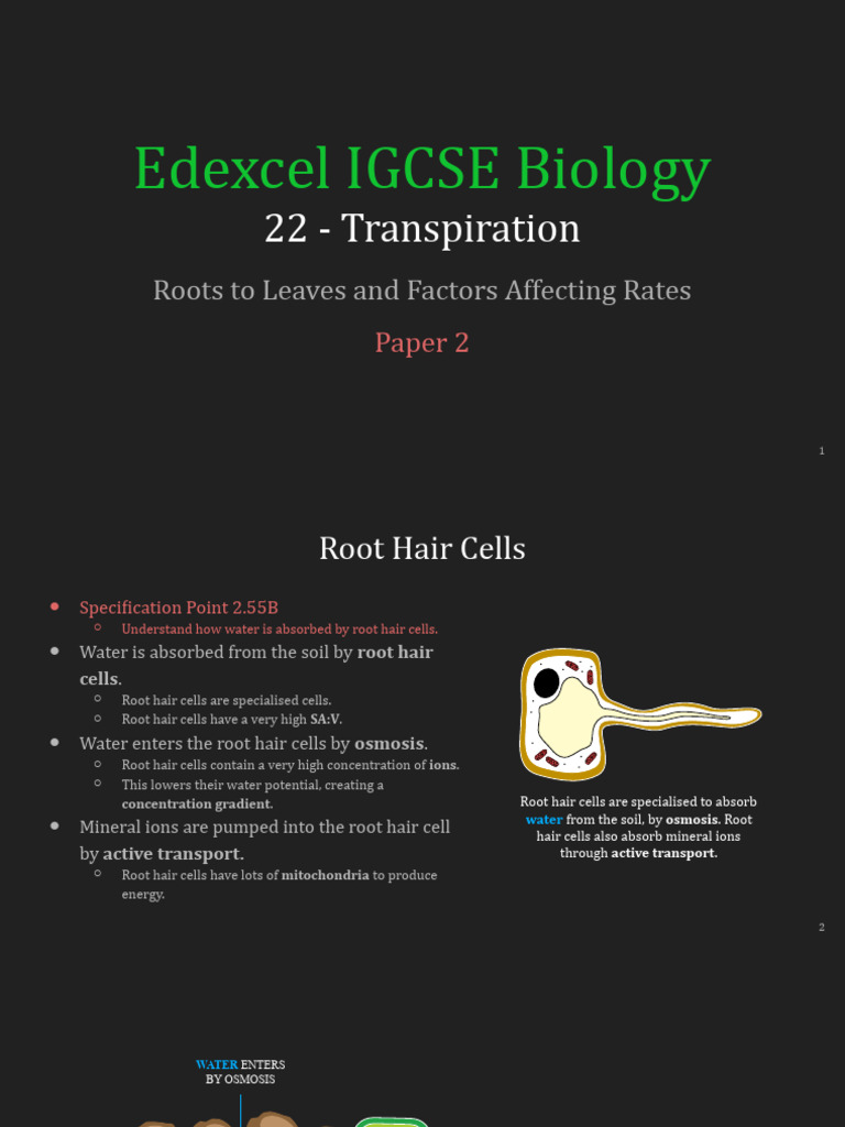 IGCSE Biology Lecture 22 - Transpiration | PDF