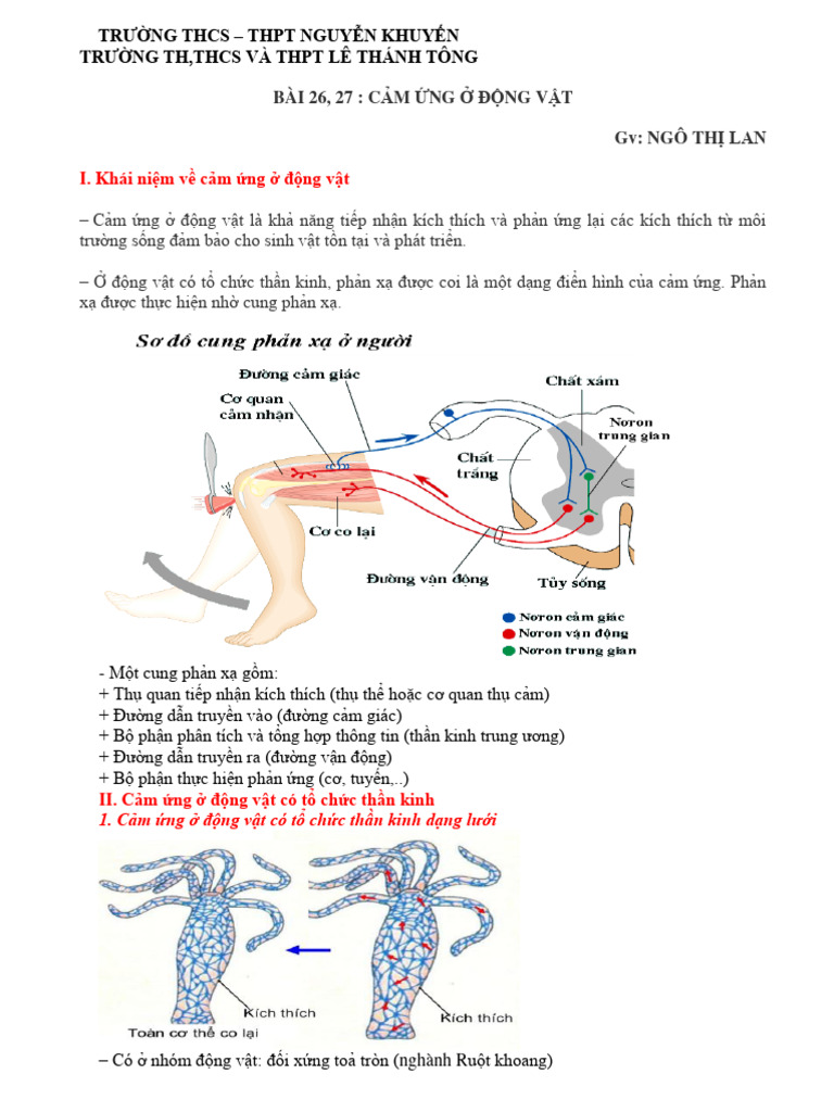 Bai 2627 Lop11 Lan | PDF