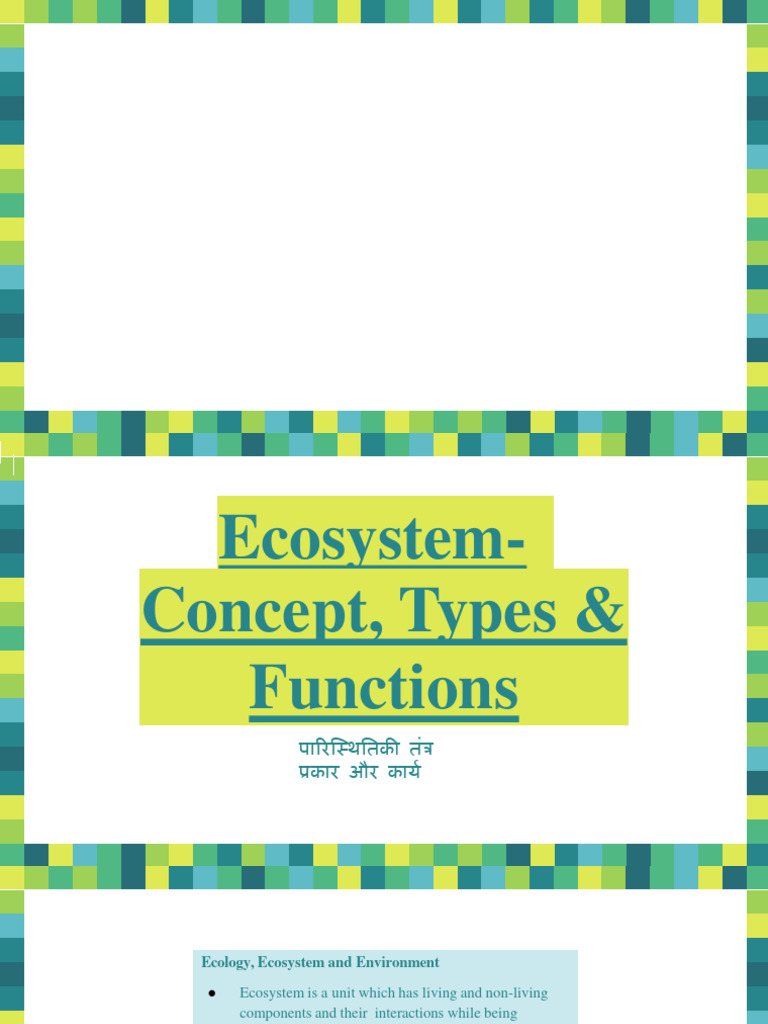 Ecosystem | PDF | Food Web | Ecosystem